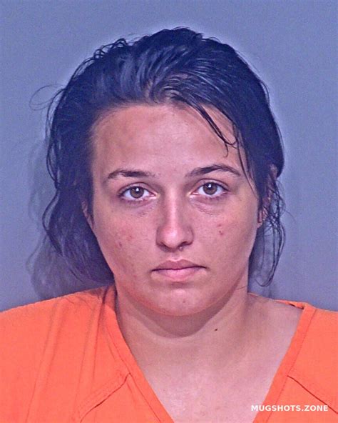 Persiklver Heather 08 09 2024 Baldwin County Mugshots Zone
