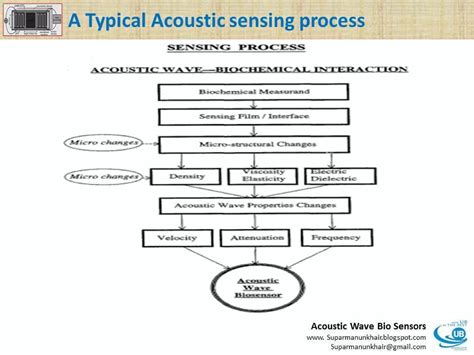 Acoustic Wave Biosensor Ppt