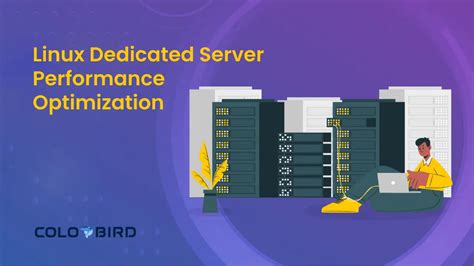 colobird running popular mods on your minecraft server