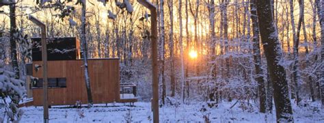 Forest Cube Eco Lodge Timberlab