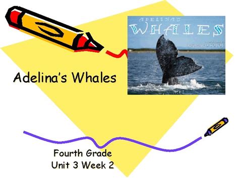 Adelinas Whales Fourth Grade Unit Week