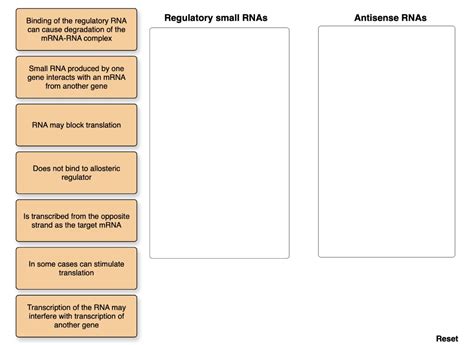 Binding Of The Regulatory Rna Can Cause Degradation Of The Mrna Rna Complex Regulatory Small