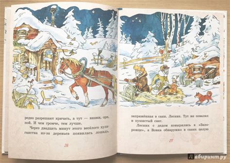 Книга: Апельсин - Анна Доброчасова. Купить книгу, читать рецензии ...