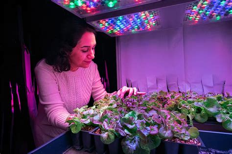 New Technologies And The Latest Research In New Book Vertical Farming