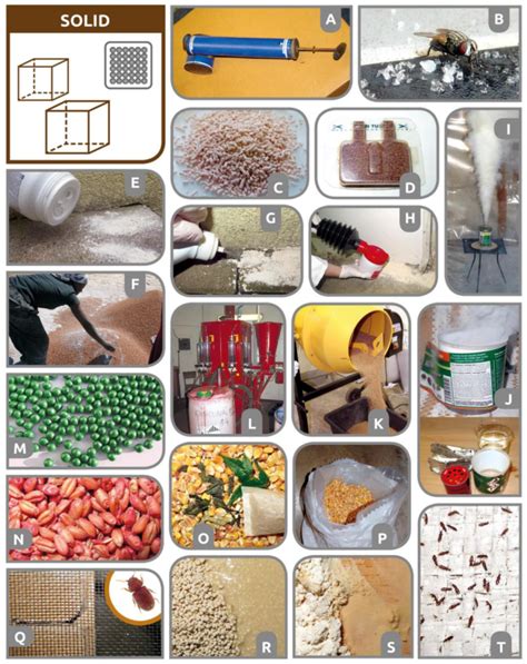 Insecticides Examples