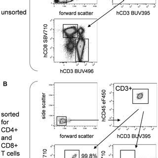 PDF Flow Cytometry And Cell Sorting