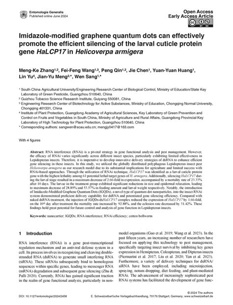 Imidazole Modified Graphene Quantum Dots Can Effectively Promote The