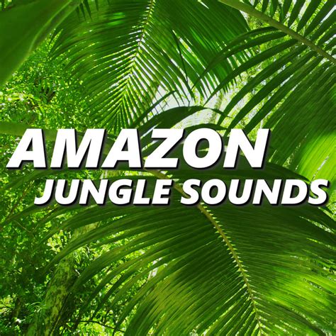 Amazon Jungle Sounds Album By Amazon Jungle Sounds Spotify