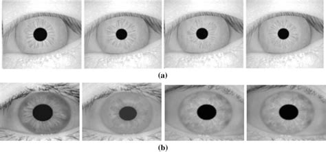 A B Sample Images Taken From Texture Based Synthetic And Model Based Download Scientific
