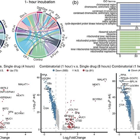 Validation Of The Cp Seq Using Combinatorial Drug Treatment A Chord Download Scientific