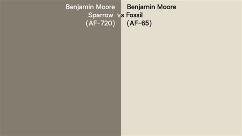 Benjamin Moore Sparrow Vs Fossil Side By Side Comparison