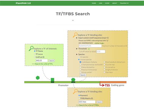 零代码 预测转录因子结合的顺式作用元件顺式作用元件预测 Csdn博客