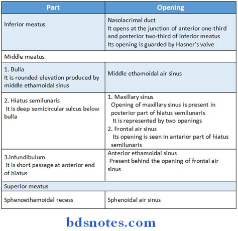 Nose And Paranasal Sinuses Short Question And Answers Bds Notes