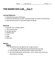 Understanding Osmosis With The Naked Egg Lab Day 2 Methods Course Hero