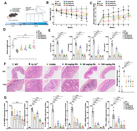 芍药苷可控制ibd防止肠道干细胞异常增殖分化美必思医学编译 芍药苷可控制ibd防止肠道干细胞异常增殖分化美必思医学编译