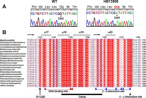 Whole Genome Resequencing And Single Nucleotide Polymorphism Download Scientific Diagram