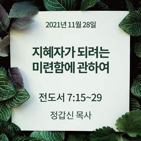 지혜자가 되려는 미련함에 관하여ㅣ전도서 7장 15 29절ㅣ정갑신 목사 예수향남교회