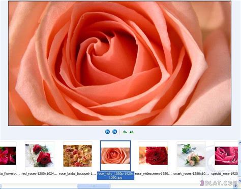 خلفيات ورد للجهاز ريموووو