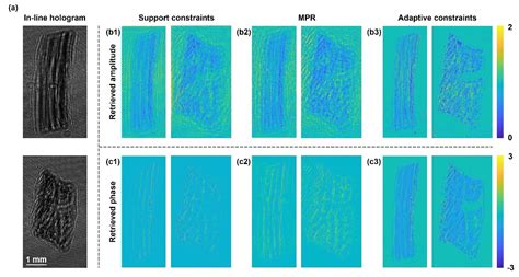 Adaptive Constraints By Morphological Operations For Single Shot Digital Holography Research