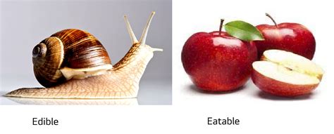 Edible Vs Eatable Make Your English Easy
