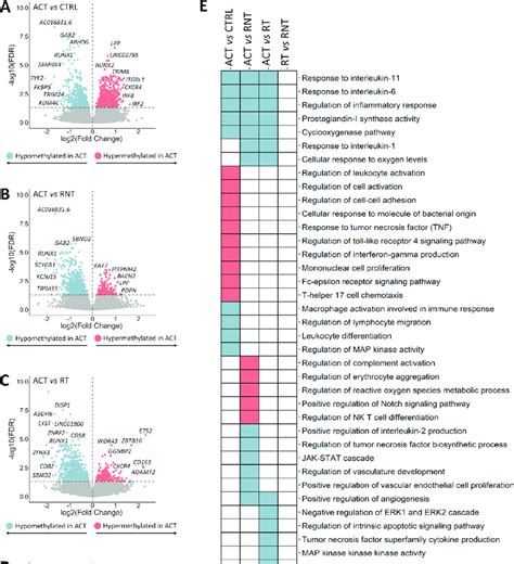 Results Of The Epigenome Wide Association Study Obtained From The