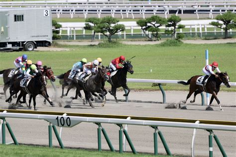 【新潟8r】直線一気炸裂！今村聖奈アルファマムが豪快に突き抜ける 競馬ニュースなら競馬のおはなし