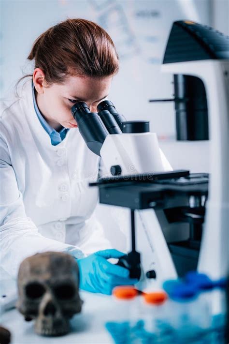 Ancient DNA Scientist Working In Bio Archaeology Lab Stock Photo Image Of Tube Human 272832414