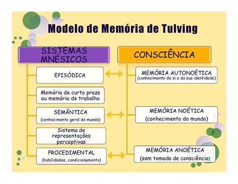 Processos Cognitivos Resumo