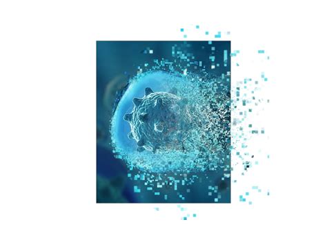 Computomics Ai Technology For Growth