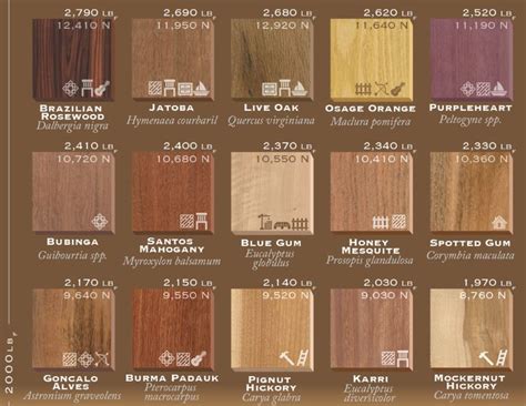 This Wood Hardness List Ranks 75 Types Of Wood By Their Janka Rating Explore Our Wood Density