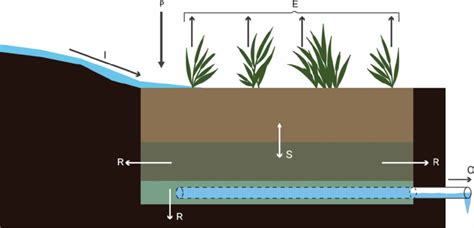 Schematic Of Bioretention System Water Balance Download Scientific