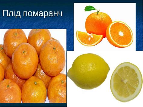 “Плоди Будова різноманітність та значення плодів” презентація з