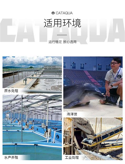 崇睿技术全自动鱼饵投饵机 循环水系统鱼池投喂器 可旋转机械吊臂 阿里巴巴