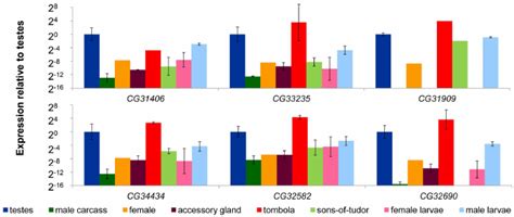 De Novo Genes Exhibit Male Biased And Germline Dependent Expression We