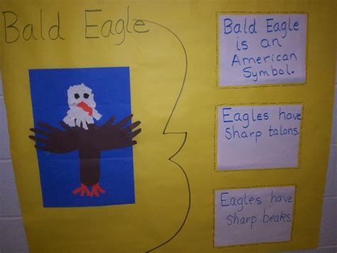 Bald Eagle Brace Map And Art Project American Symbols Thinking Maps