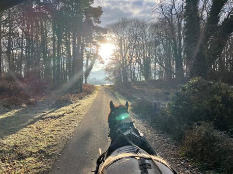 Take A Trip On A Killarney Jaunting Cars 2025 Hotel Killarney