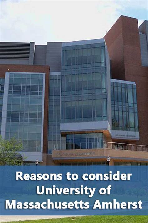 50 50 Profile University Of Massachusetts Amherst Do It Yourself