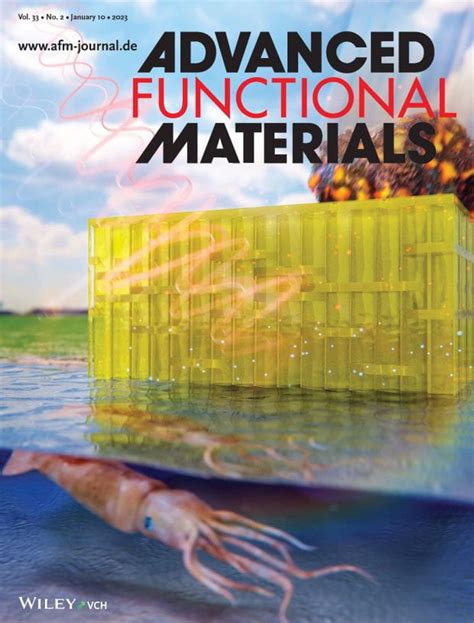 Journal Publications Zhai Group At Nus