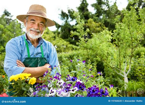 Senior Man Gardening Stock Photo Image Of Happy Outdoor 19760628