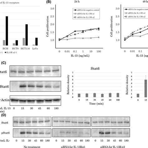Silencing Interleukin‐13 Receptor Il‐13rα1 Inhibits Il‐13‐mediated