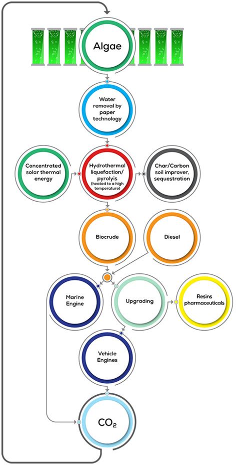 Microalgae Yields Biofuel And High Value By Products Mirage News