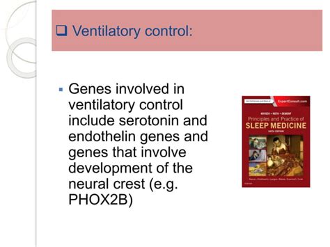 Phenotypes Of Osa Pptx Ear Nose And Throat Conditions Diseases