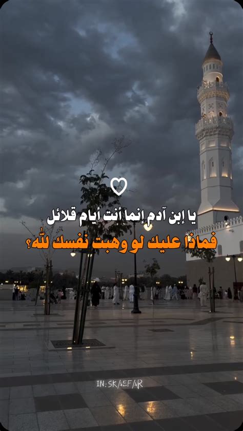 Skaefar𝟷 7ri O00 • Instagram Photos And Videos