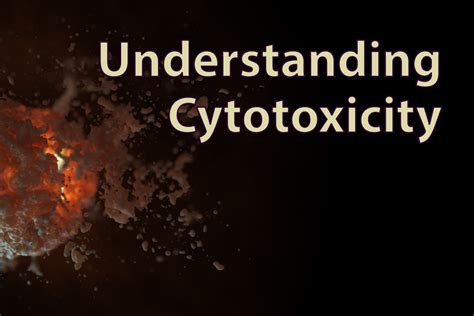 Understanding Cytotoxicity Virology Research Services