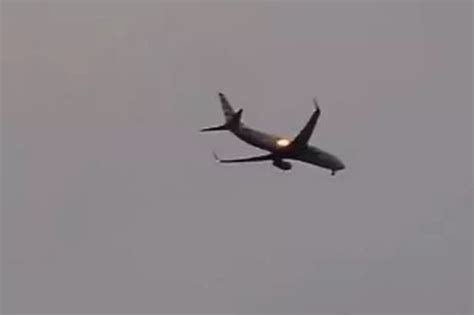 Heart Stopping Moment Plane Bursts Into Flames After It Hits Flock Of
