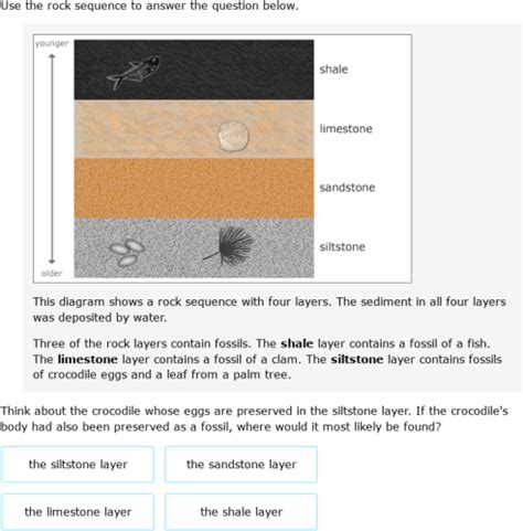 IXL Interpret Evidence From Fossils In Rock Layers Year Science Practice