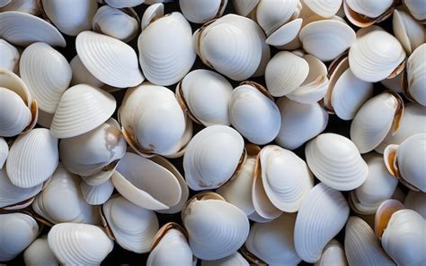 Premium Ai Image Elegant Shellfish Pattern Background Texture