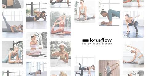 lotus flow support