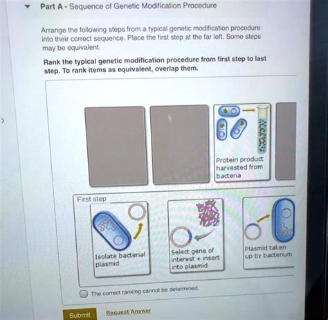solved arrange the following steps from a typical genetic modification