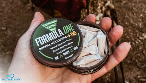 Nicotine Alternatives Snus Flowblend